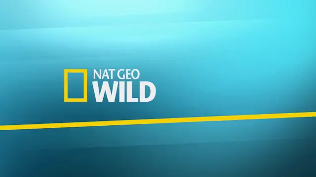 National Geographic Wild Channel Logo