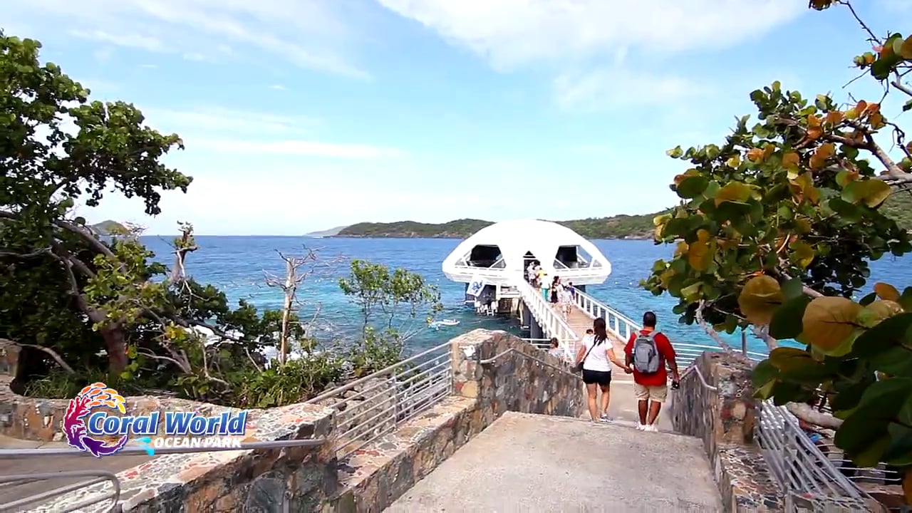 Coral World Ocean Park General Video 90 sec. on Vimeo