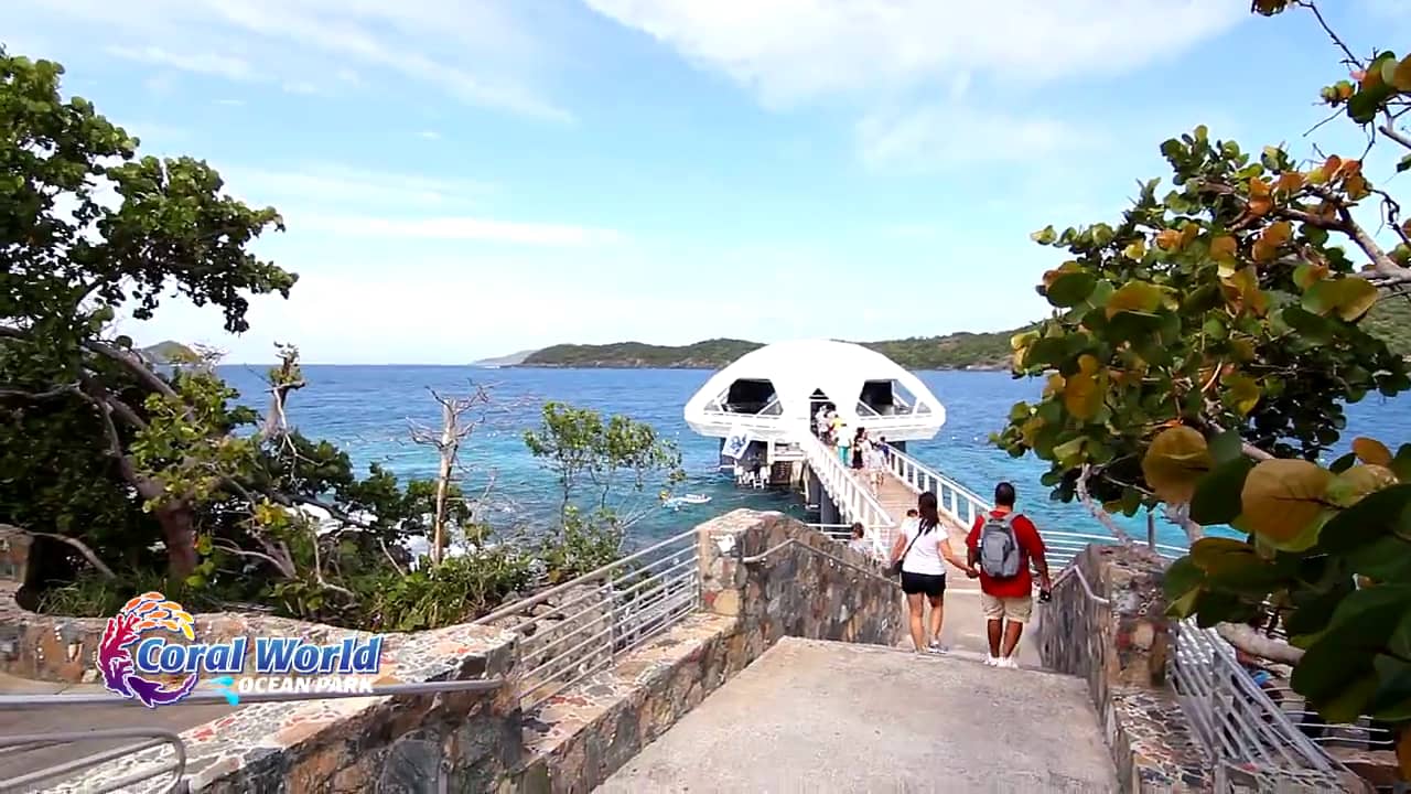 Coral World Ocean Park General Video 90 sec. on Vimeo