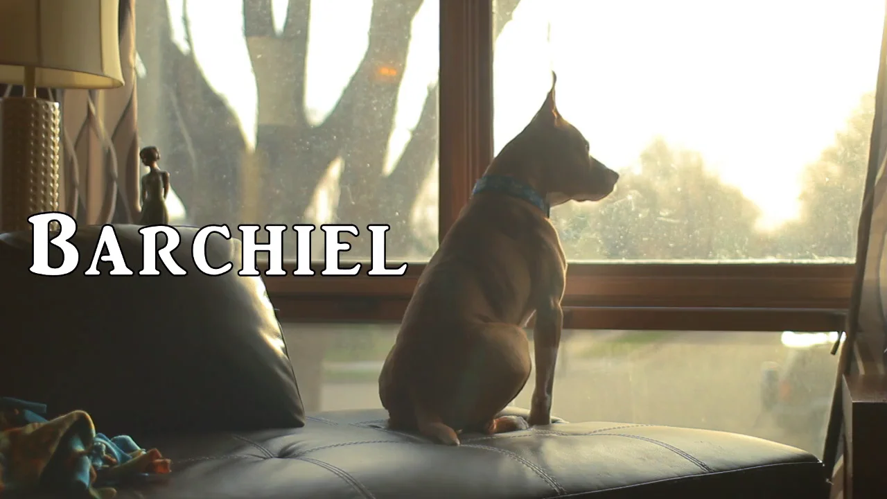 Barchiel on Vimeo