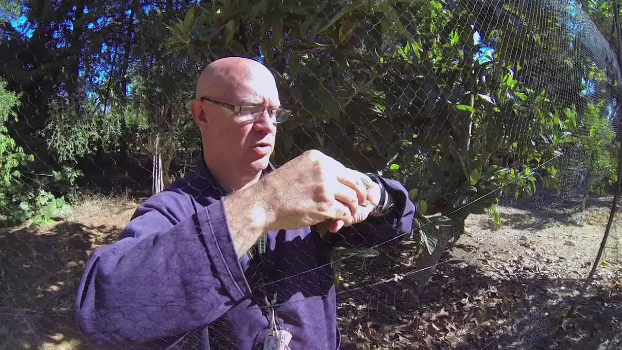 A Rocha People: Dave Bookless on Vimeo