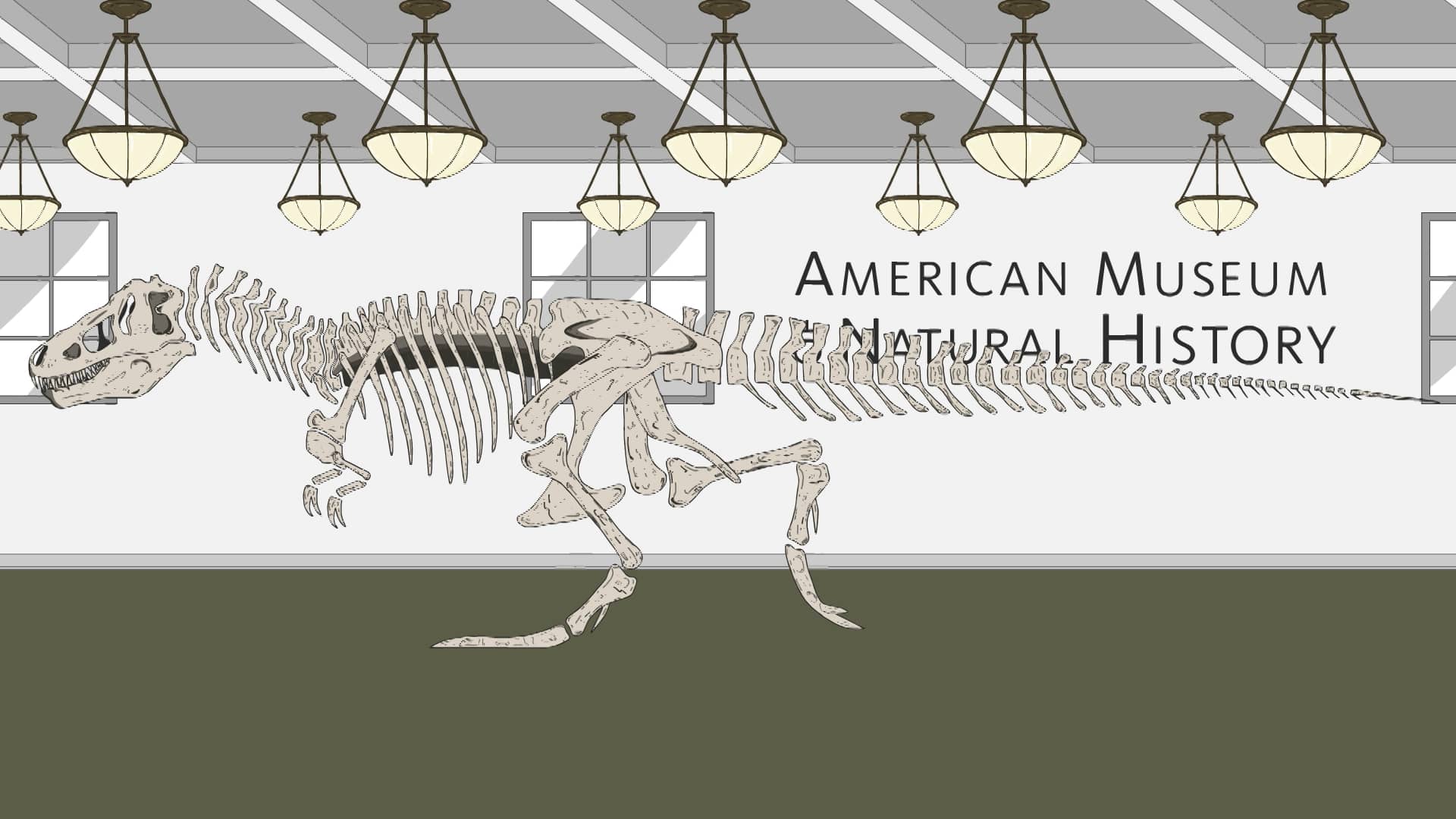 T-Rex walks at the American Museum of Natural History (Walk cycle) on Vimeo