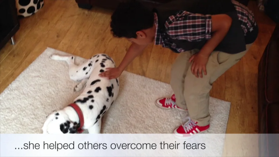 Remembering Bailey on Vimeo