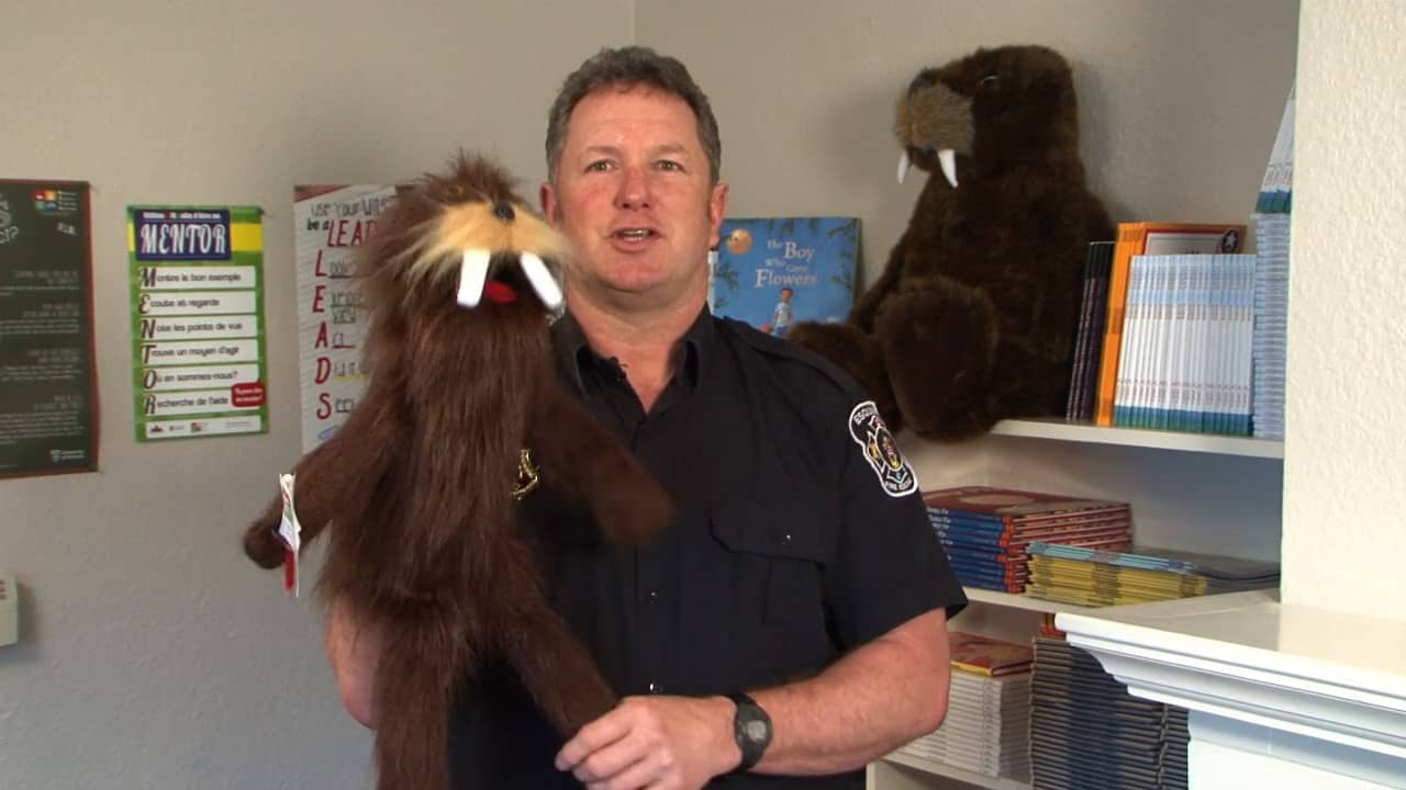 Introducing: The New WITS Program Mascot on Vimeo