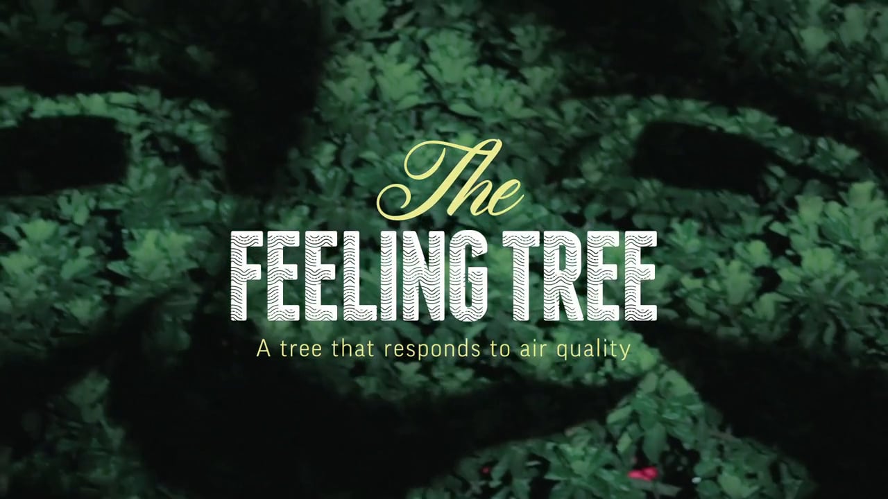 THE FEELING TREE - case study on Vimeo
