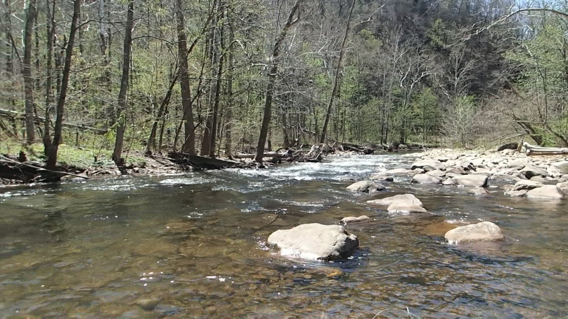 Grannom Caddis Hatch on the Elk River, WV on Vimeo