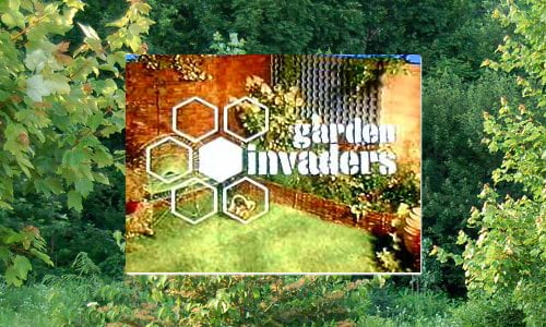 Garden Invaders BBC 1 Theme Music on Vimeo