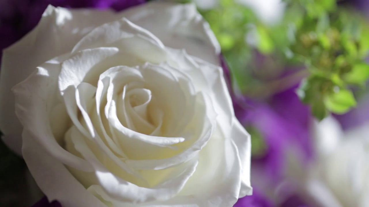 Mark and Bevin - Teaser on Vimeo