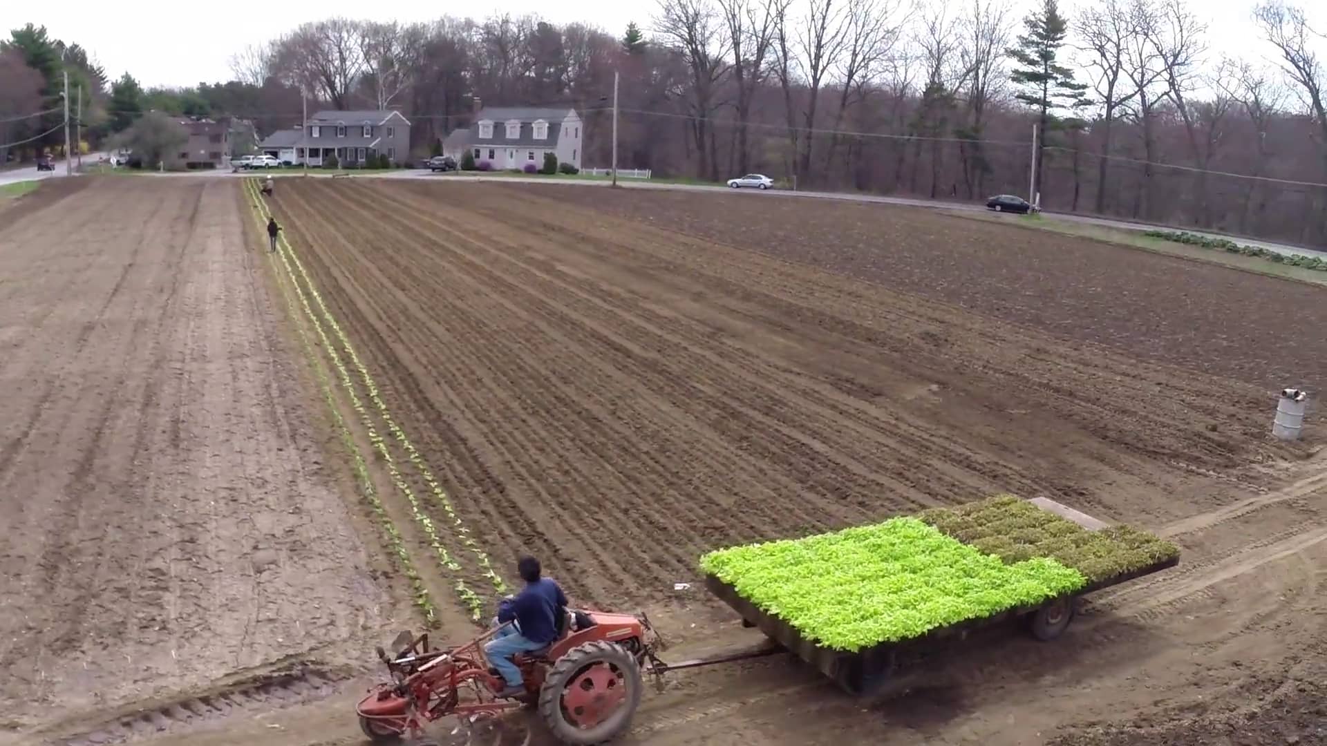 Berberian's Farm - Opening May 9th on Vimeo