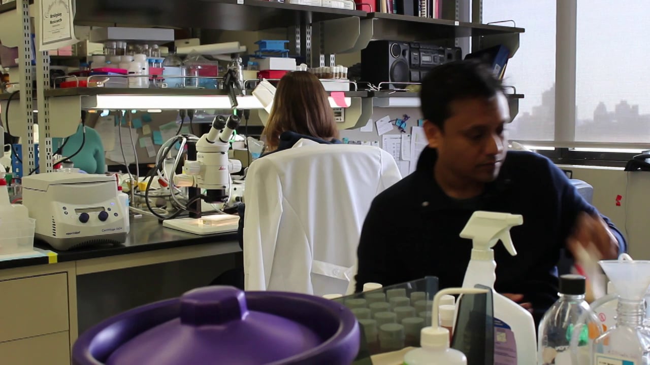 AoS: Dr. Ross Cagan in the lab on Vimeo