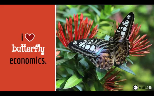 Butterfly Economics on Vimeo