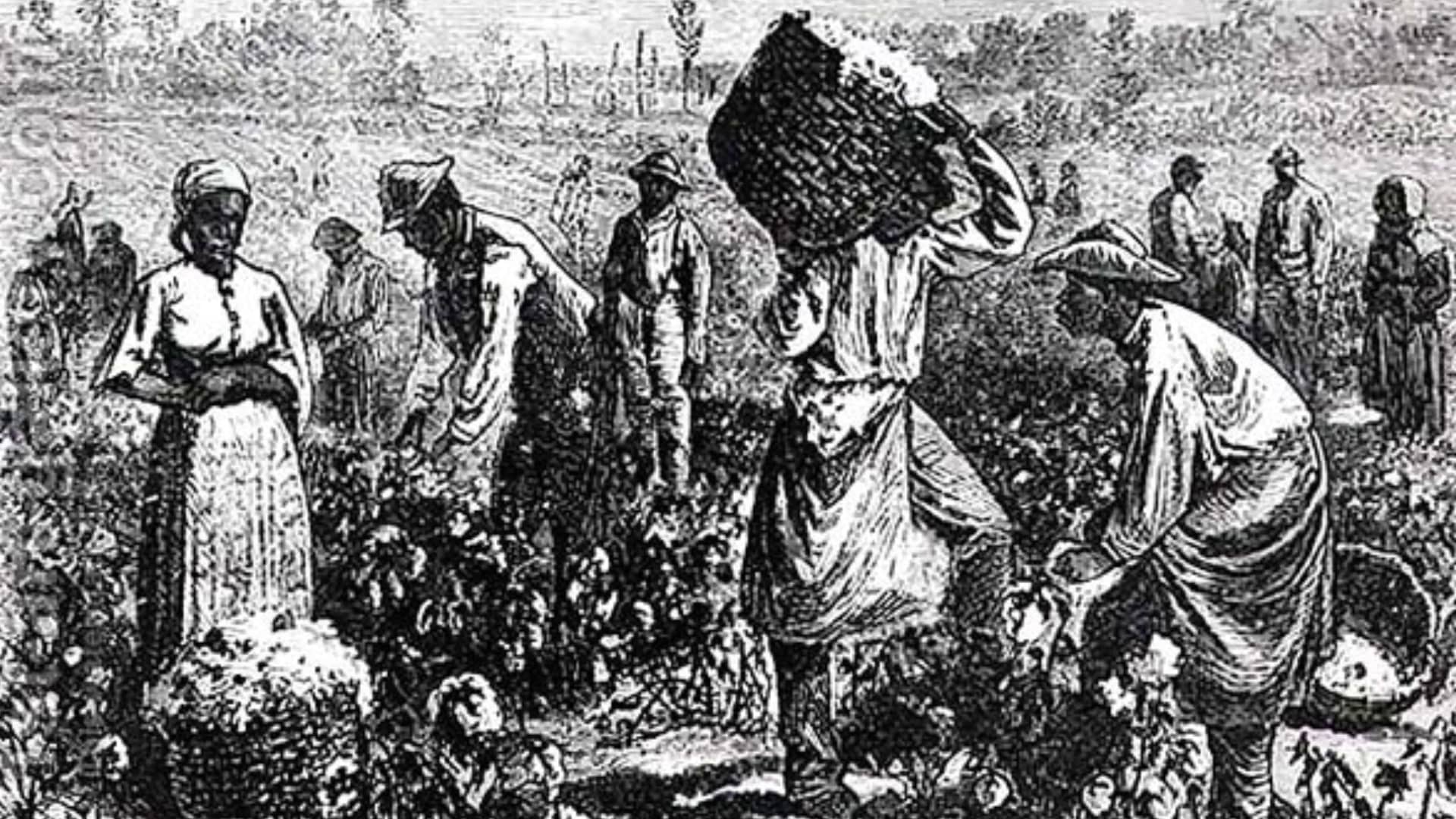 Trekanthandelen on Vimeo