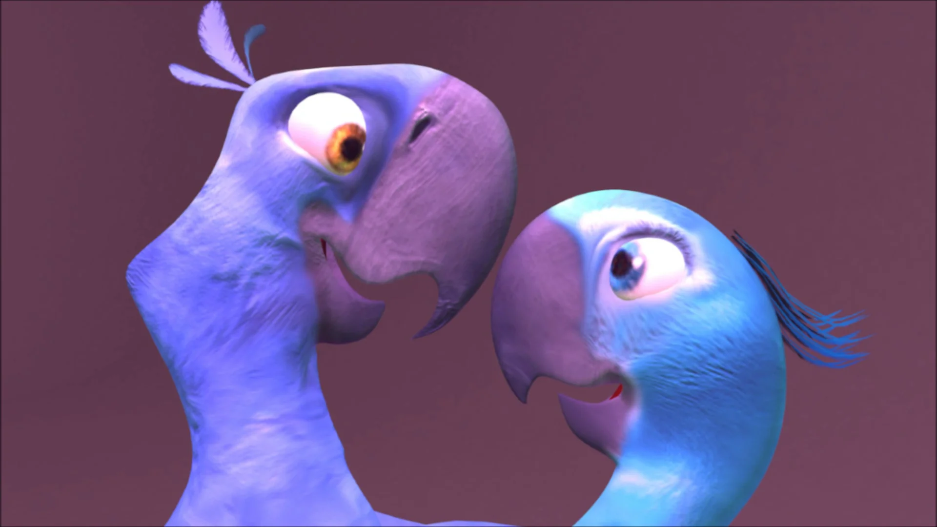 Rio - Blu and Jewel Animation