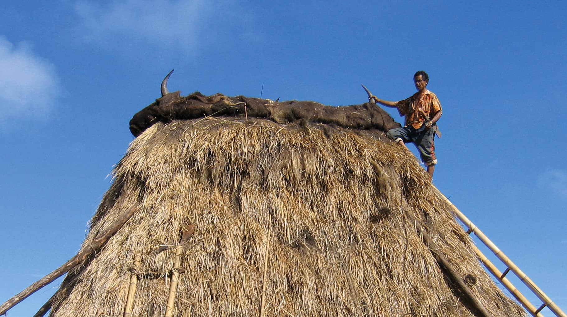 Uma Lulik (The Sacred House) on Vimeo