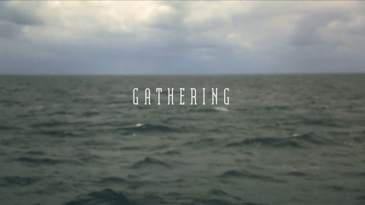 Watch Gathering Online | Vimeo On Demand on Vimeo
