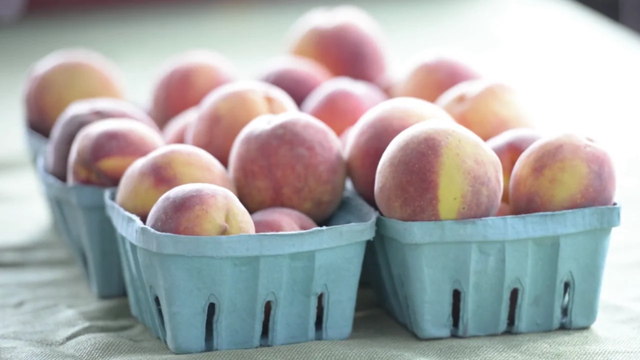 Farm to City @ Frecon Farm & CSA on Vimeo