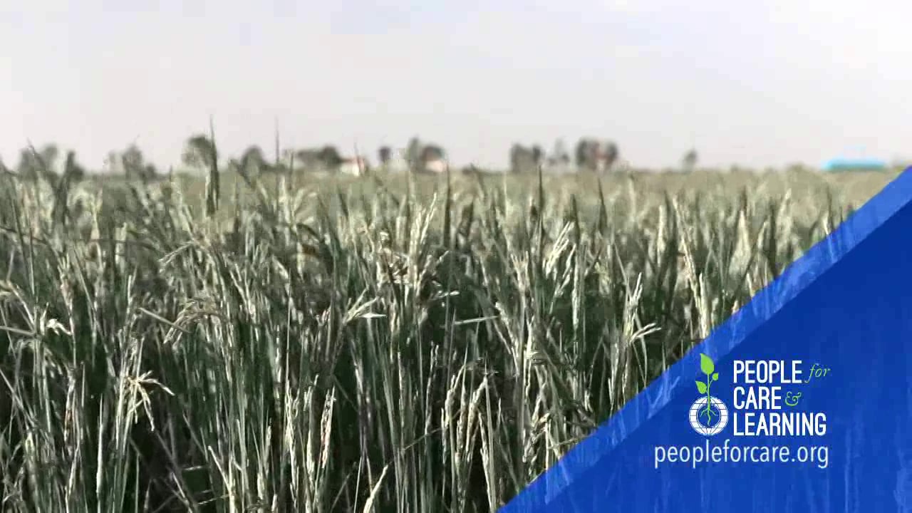 PCL TV Promo 2014 (20 minutes) on Vimeo