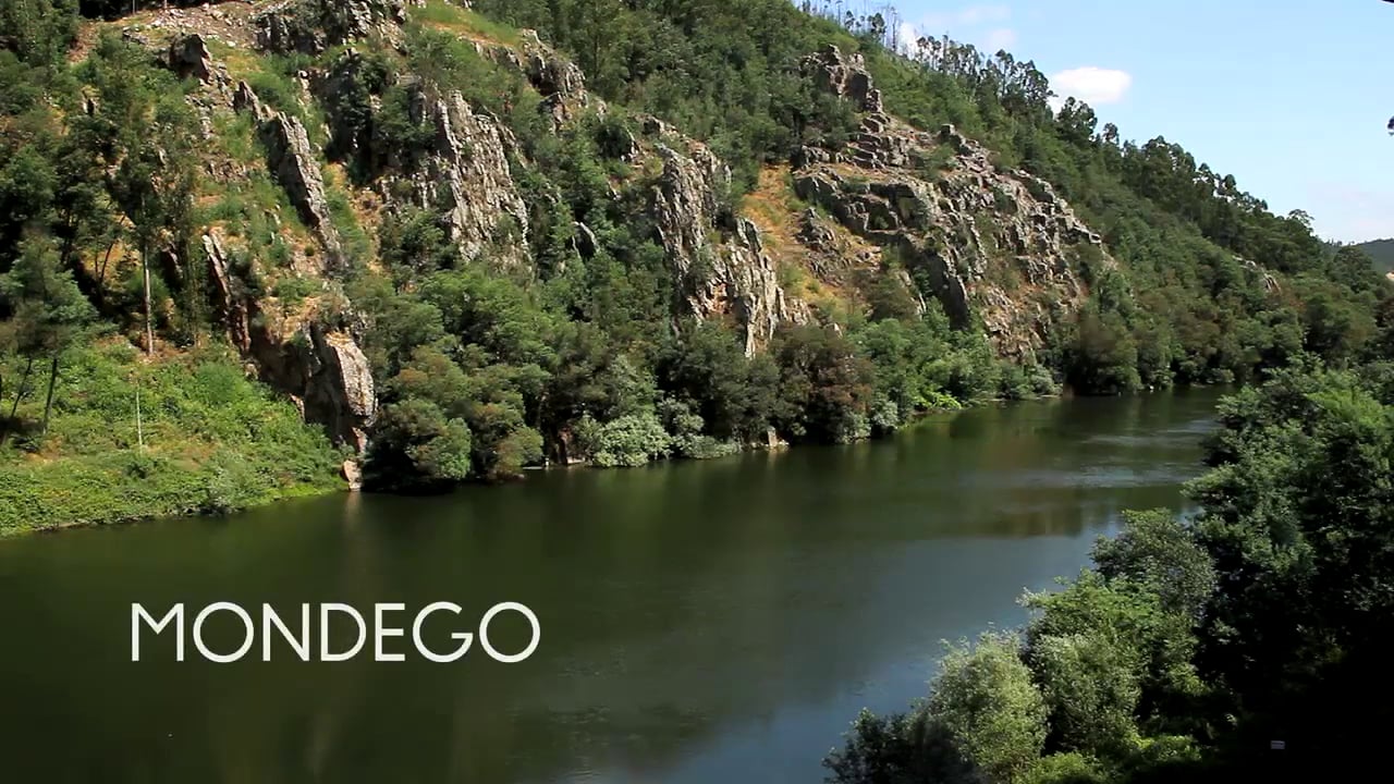 MONDEGO - Versão Portuguesa
