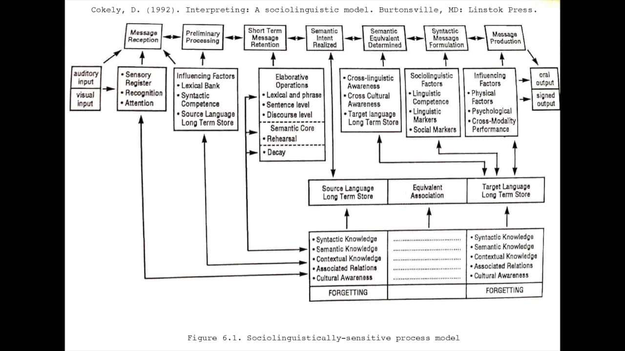 Sharon Neumann Solow: Cokely's Model on Vimeo