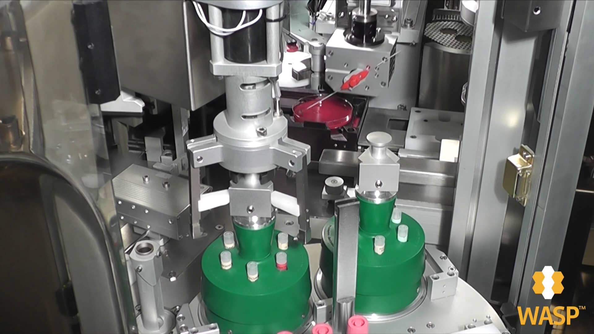 WASP™ - Antibiotic discs dispenser on Vimeo