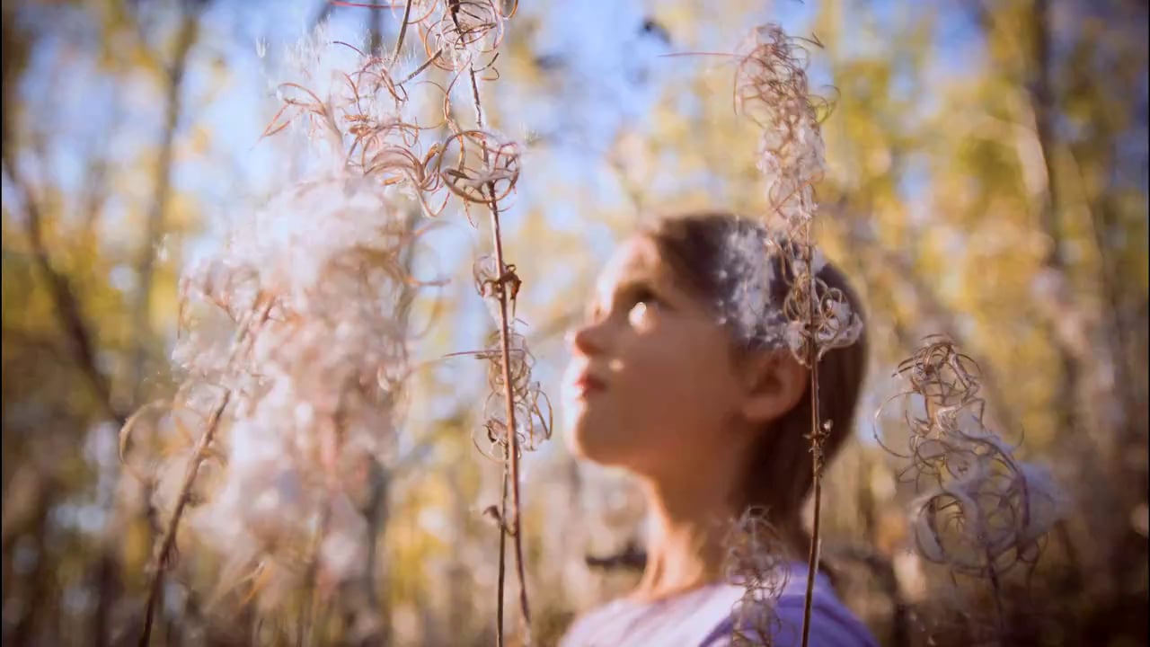 Dominic Leclerc - Publicité Tourisme Abitibi-Témiscamingue 2014 on Vimeo