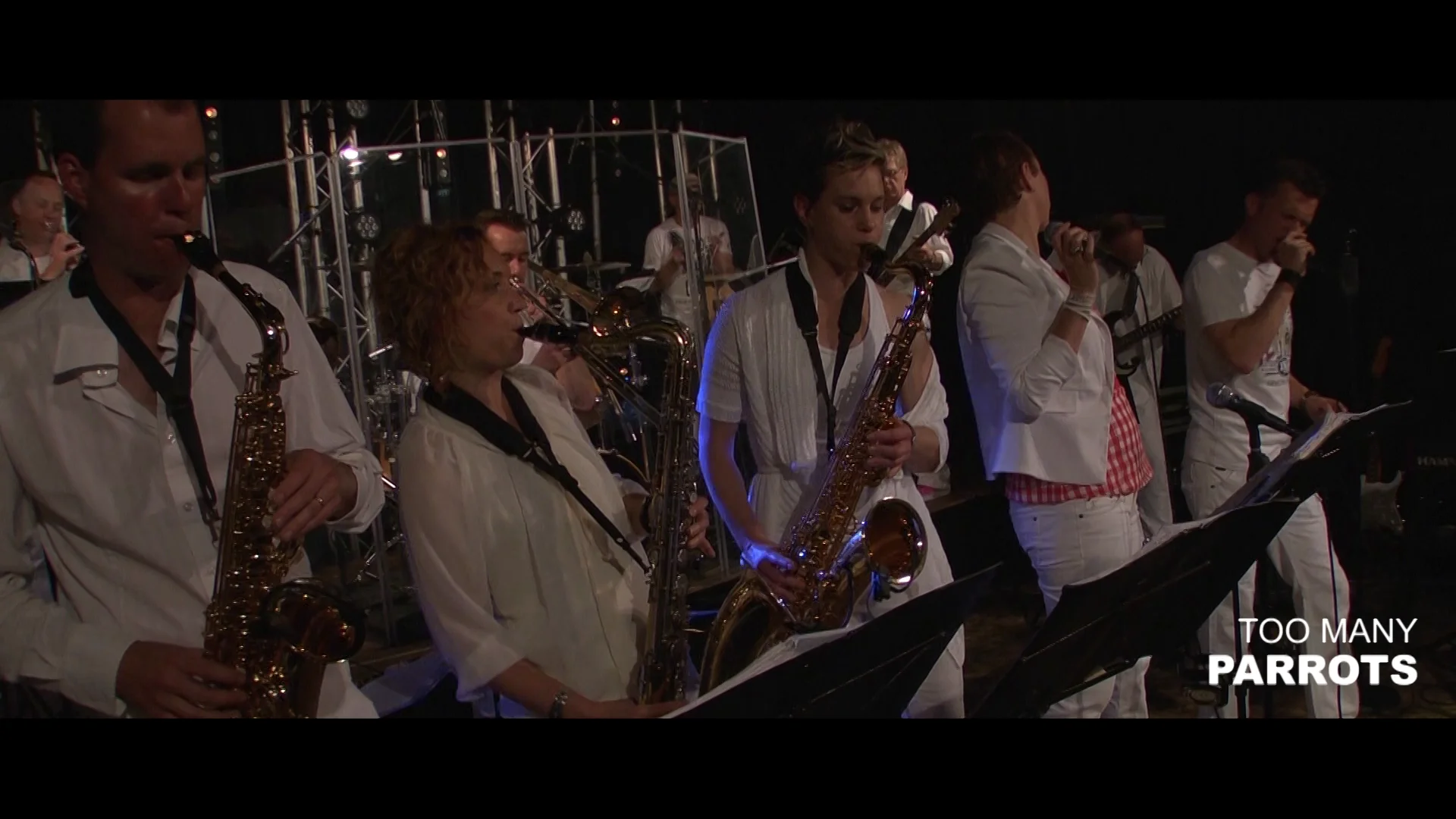 Too Many Parrots 2014 on Vimeo