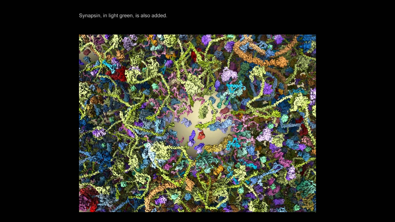 synapse video on Vimeo