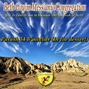 P138 Parash 34 B’midbar (In the dessert) B’midbar/Numbers 1:1 – 4:20 on ...