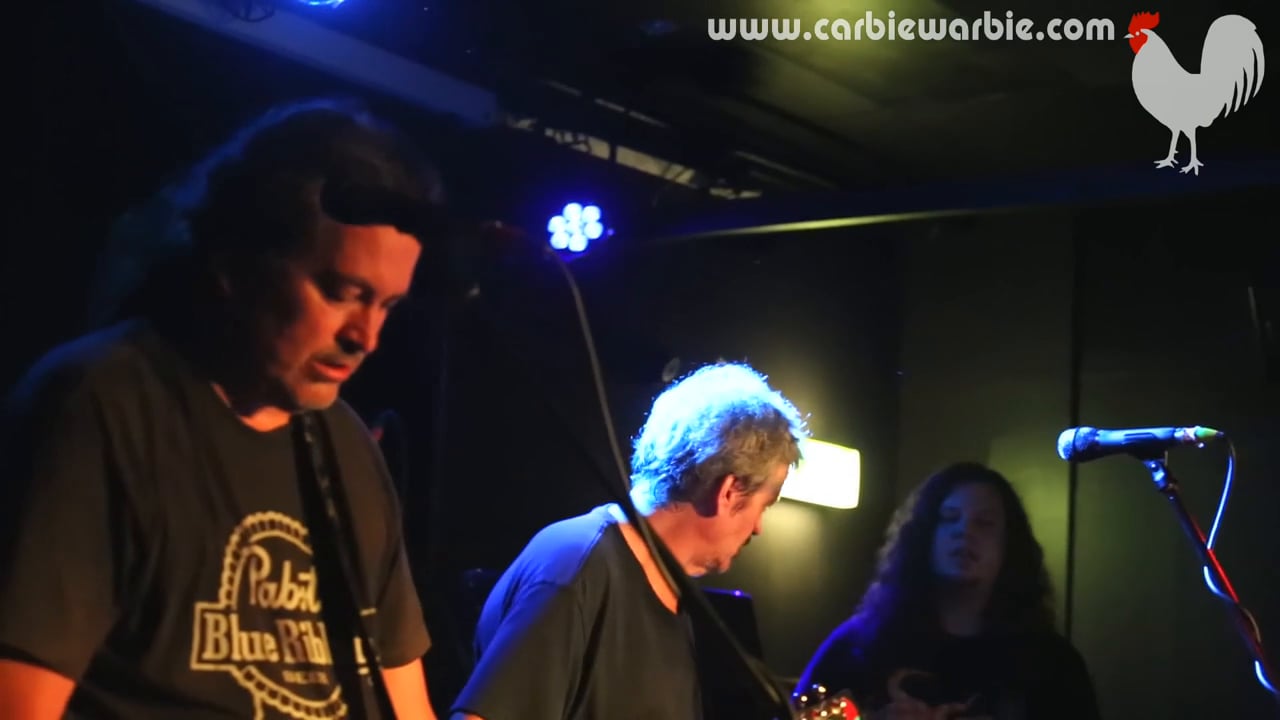 Meat Puppets - Tennessee Stud/Wasted Day & Wasted Nights @ Ding Dong ...