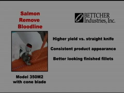Salmon Blood Line Removal