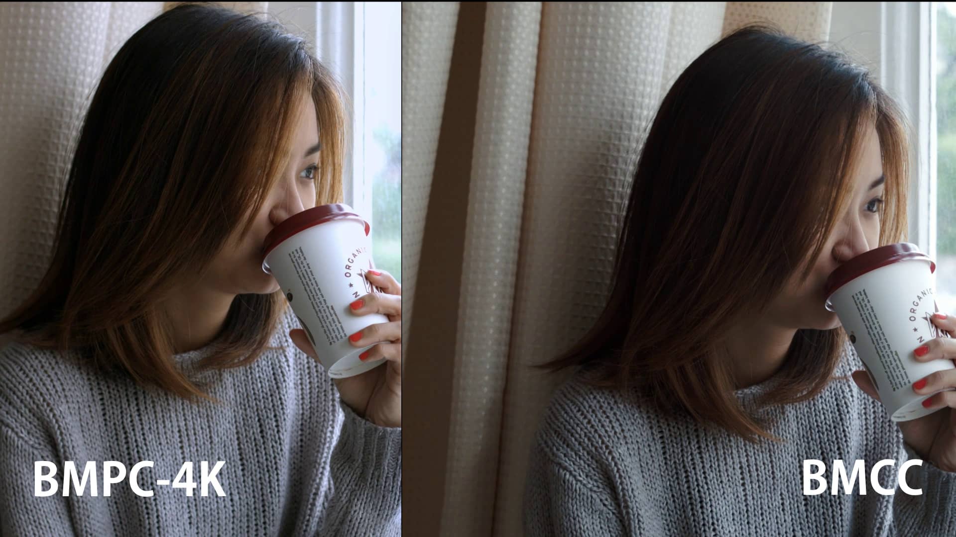 BMCC vs BMPC-4K side-by side comparison on Vimeo