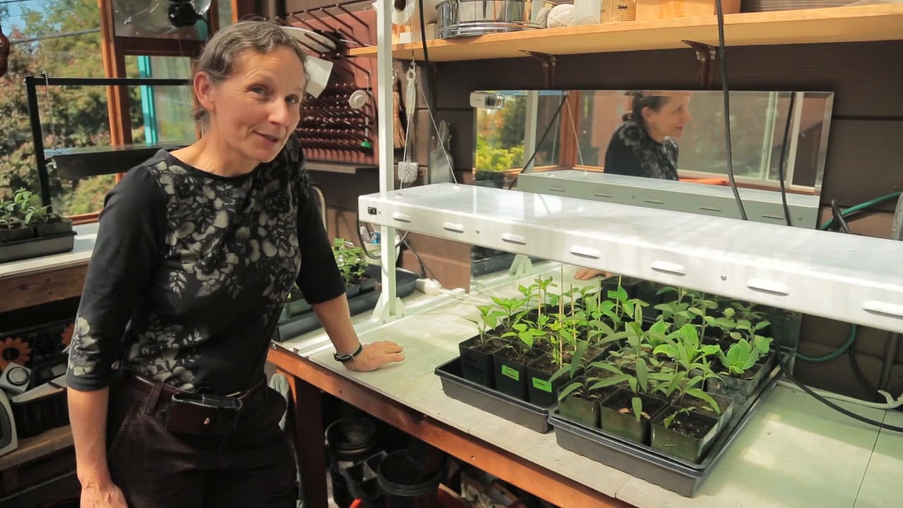 Earth Focus Interview with Susan Kegley of Pesticide Research Institute ...