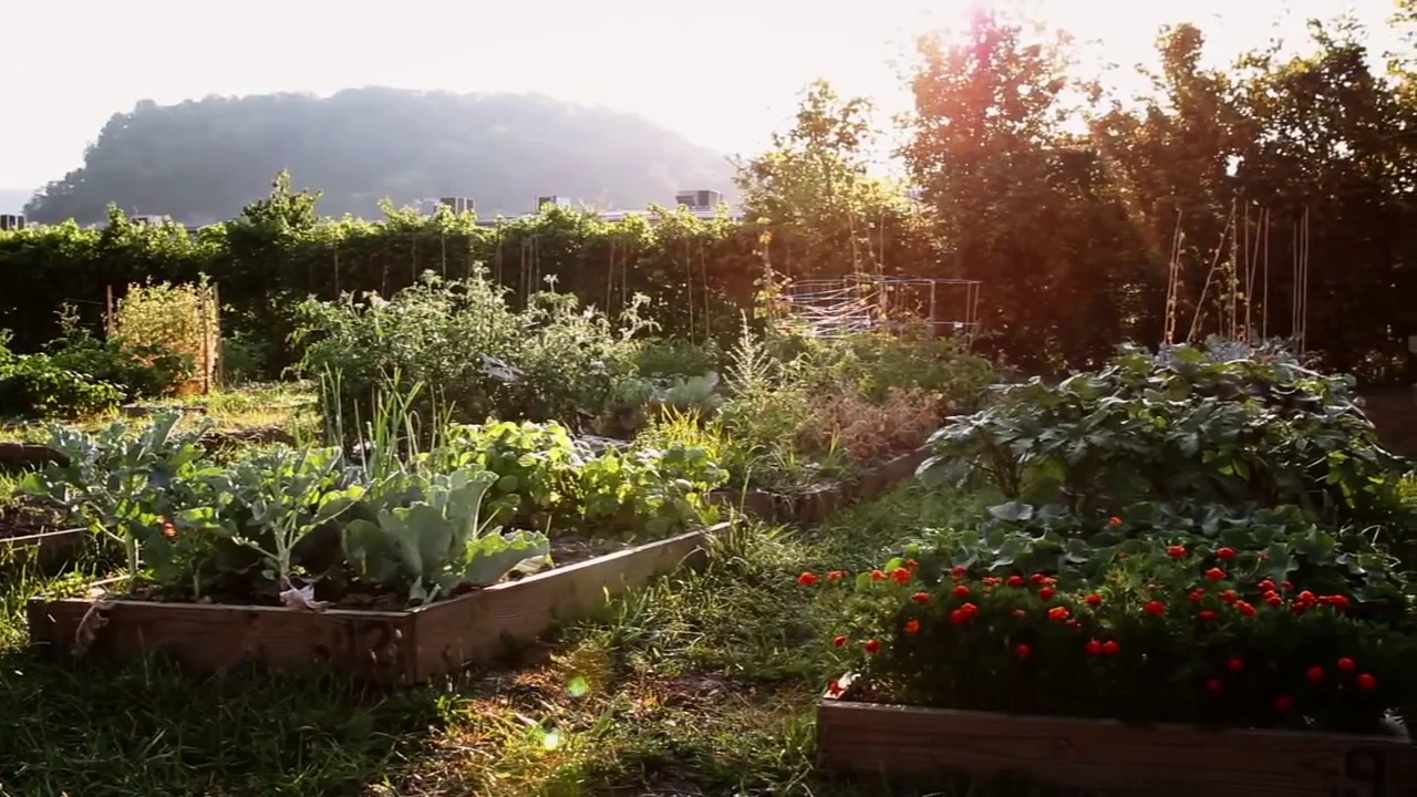 Humana, Team Up 4 Health on Vimeo