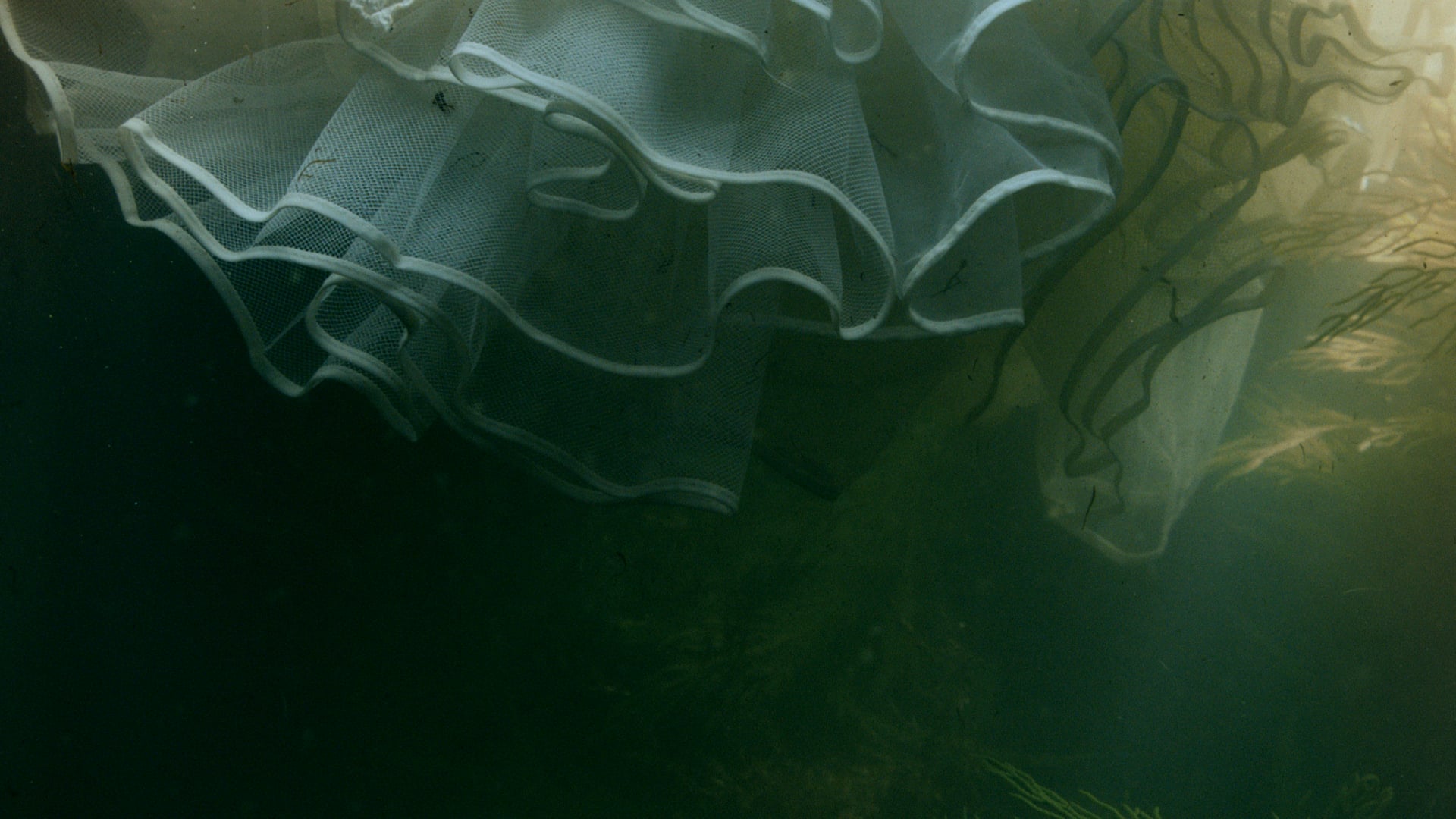 Swamp Murders: Season 2 Promo on Vimeo