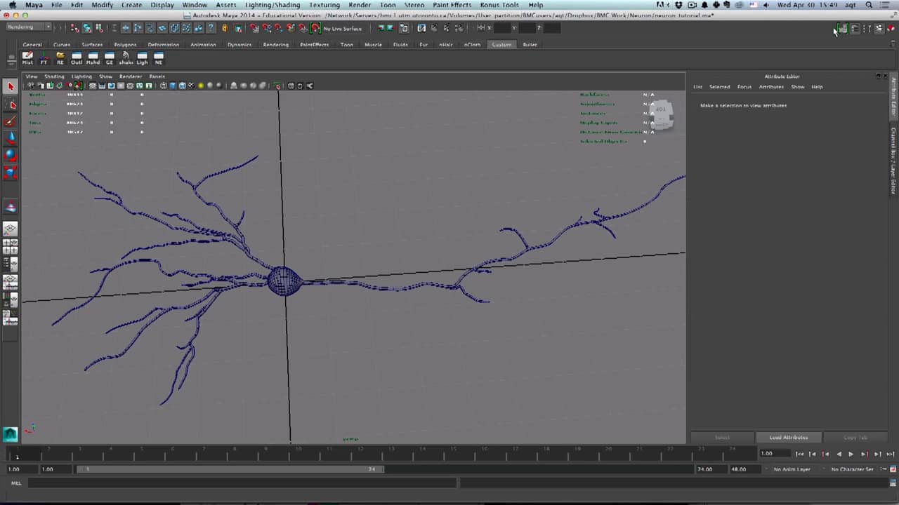 Simulating in vitro neurons (tutorial) - Part 1: Modeling neurons on Vimeo