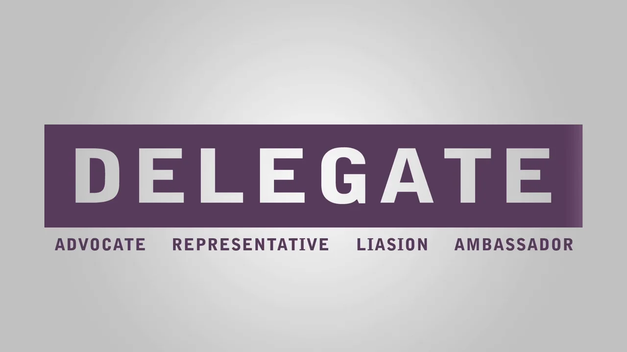 Definition of a Delegate on Vimeo