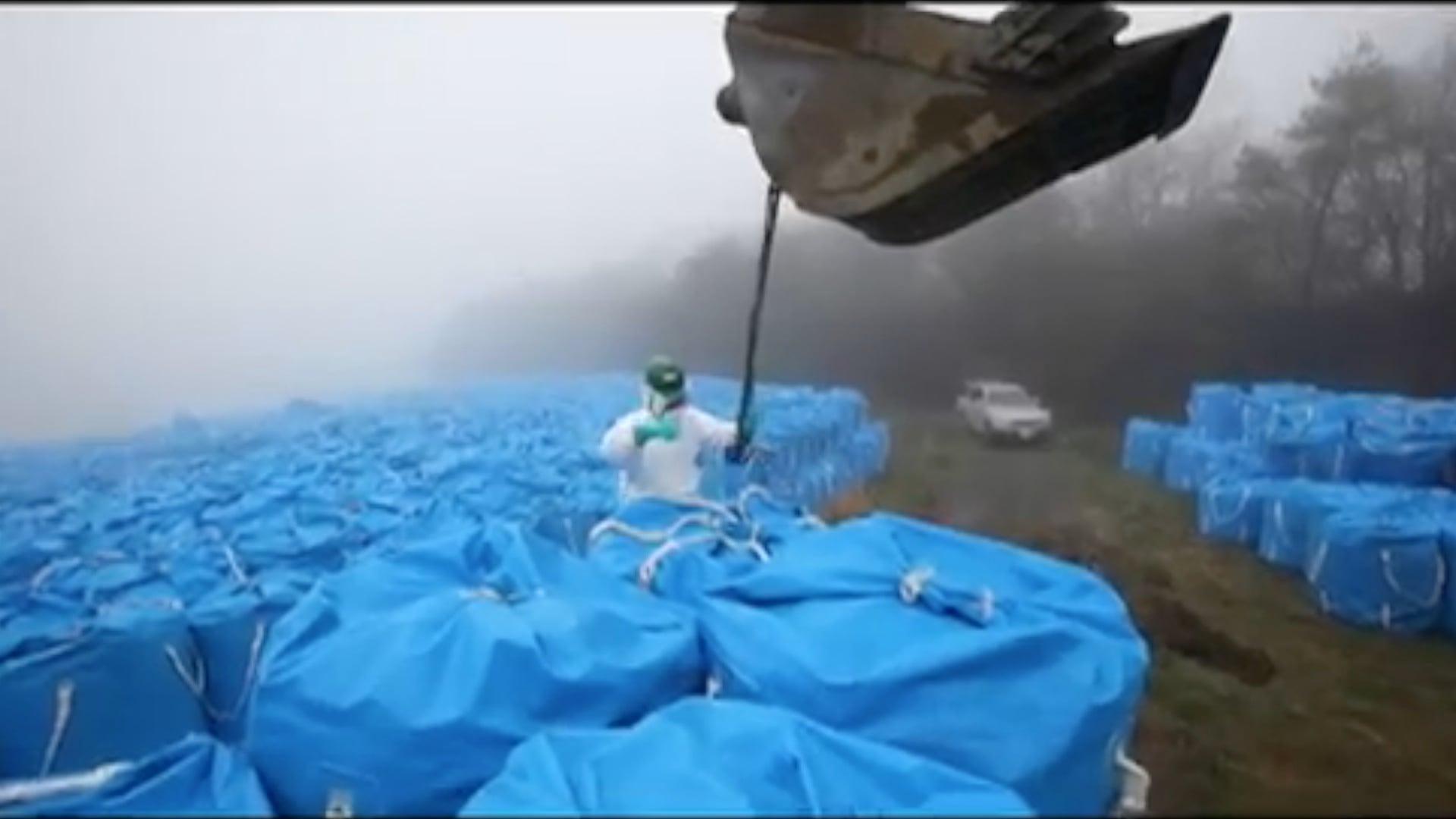 JT CAT NAT : Grand témoin on Vimeo