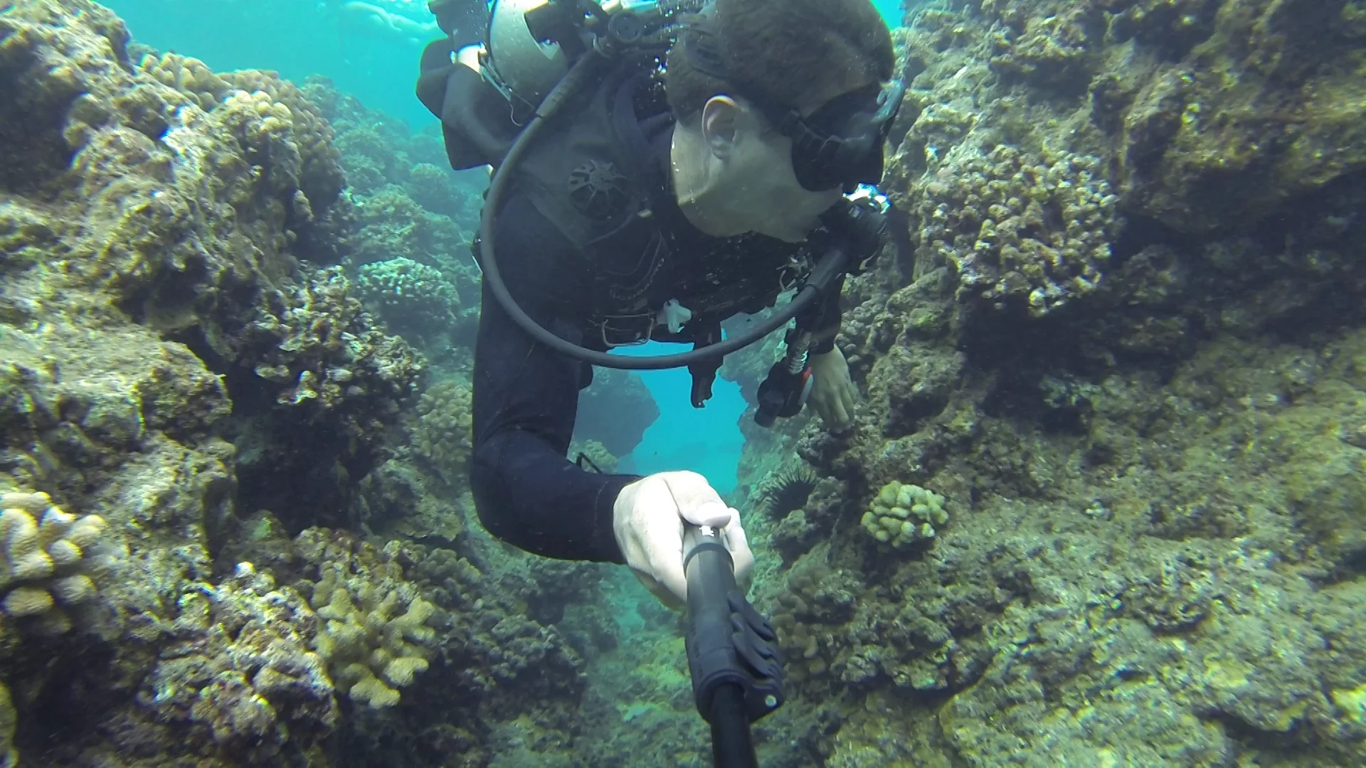 Scuba Diving -enh on Vimeo
