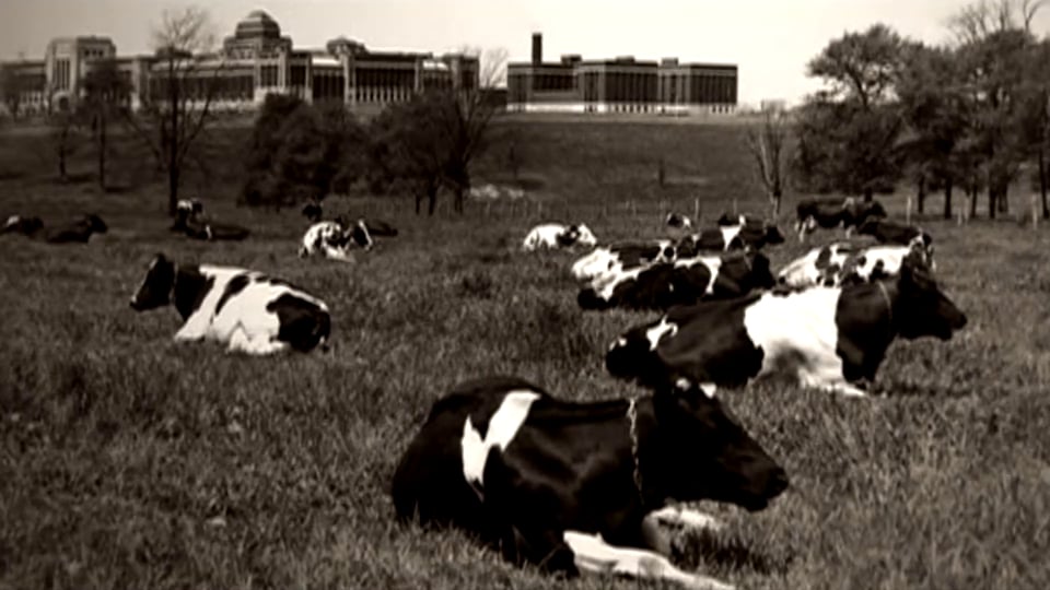 The Narcotic Farm on Vimeo