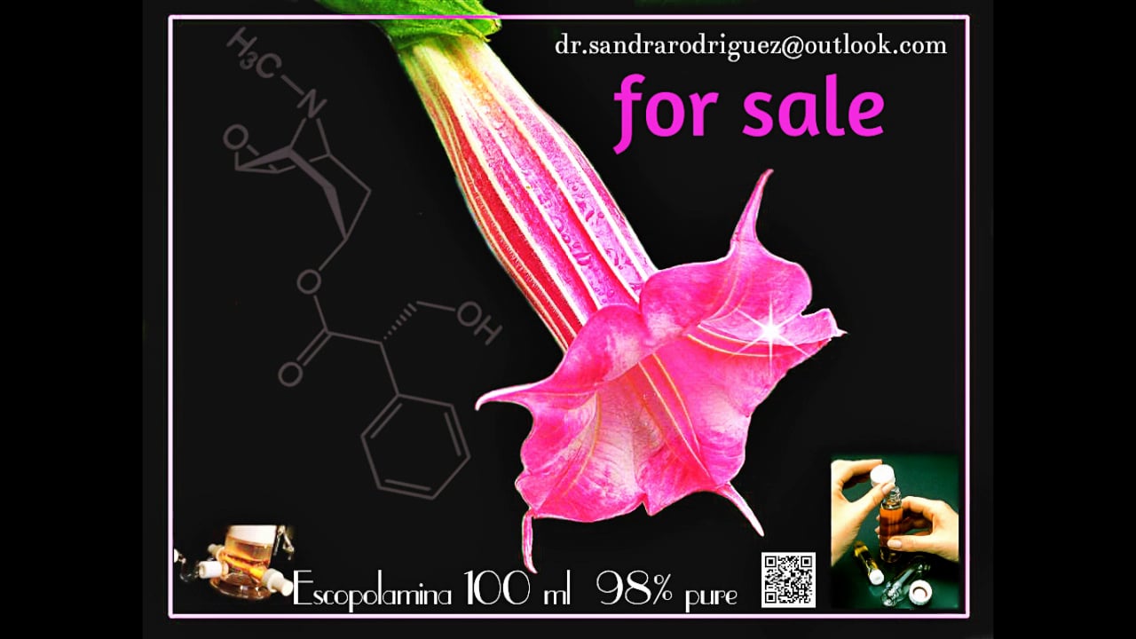 escopolamina burundanga droga on Vimeo