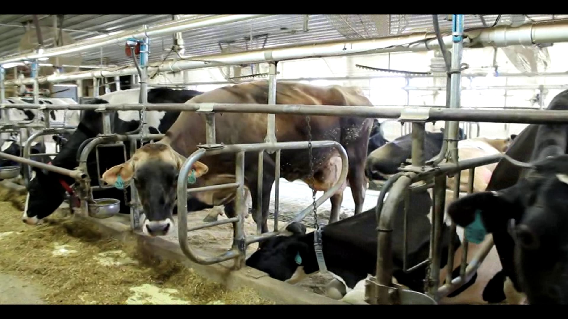 AGRIVOLT, LA SOLUTION AGRICOLE