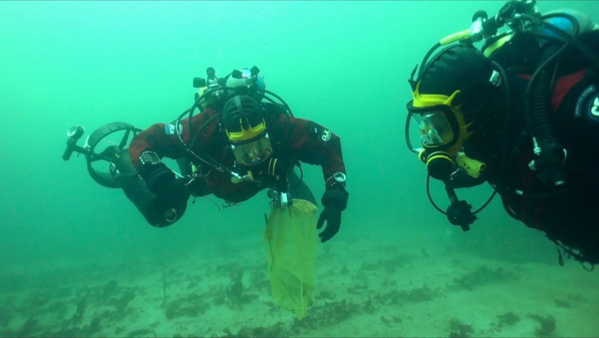 Scooter Collecting with the Seattle Aquarium