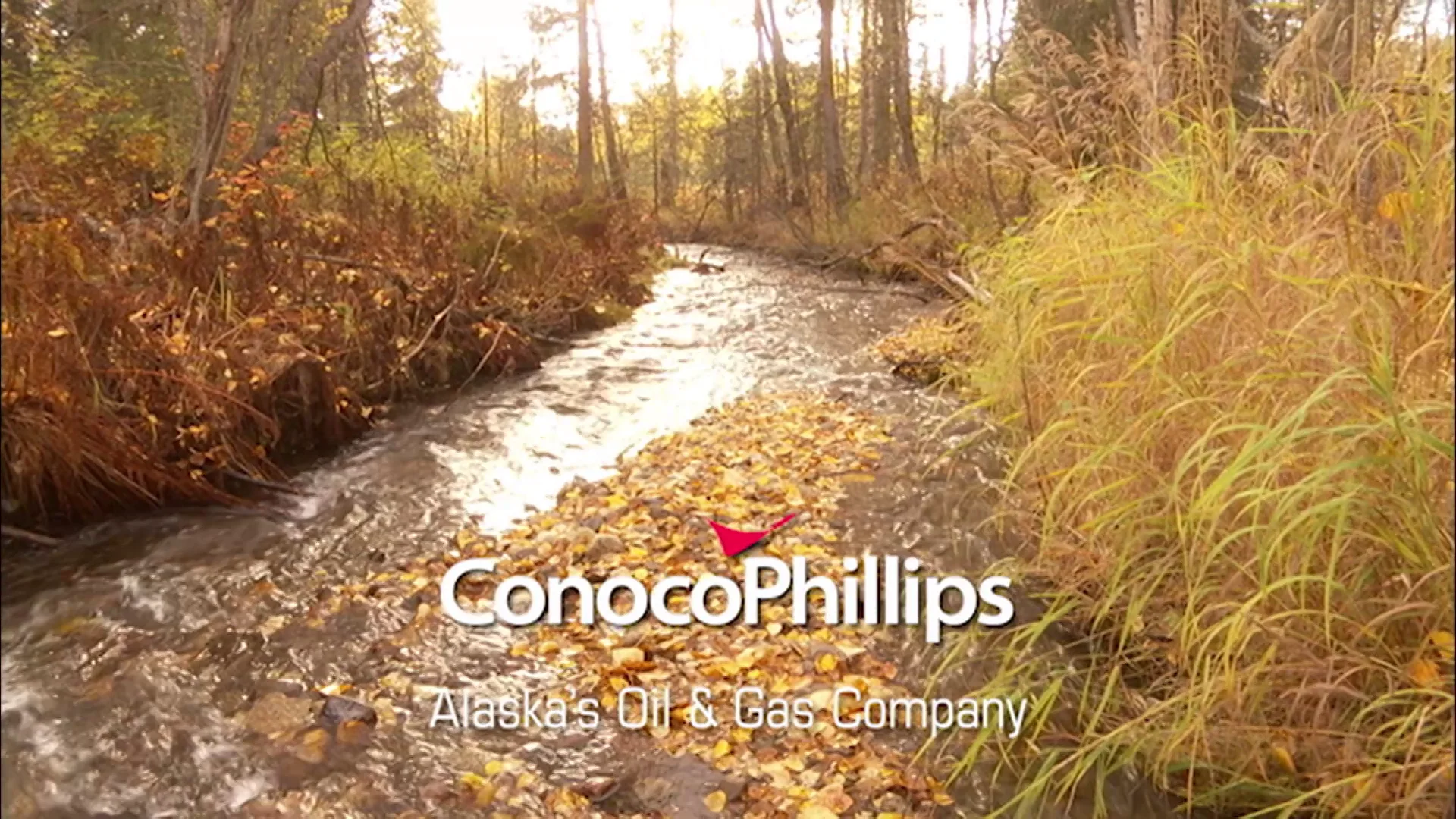 ConocoPhillips "Spirit of Conservation" on Vimeo