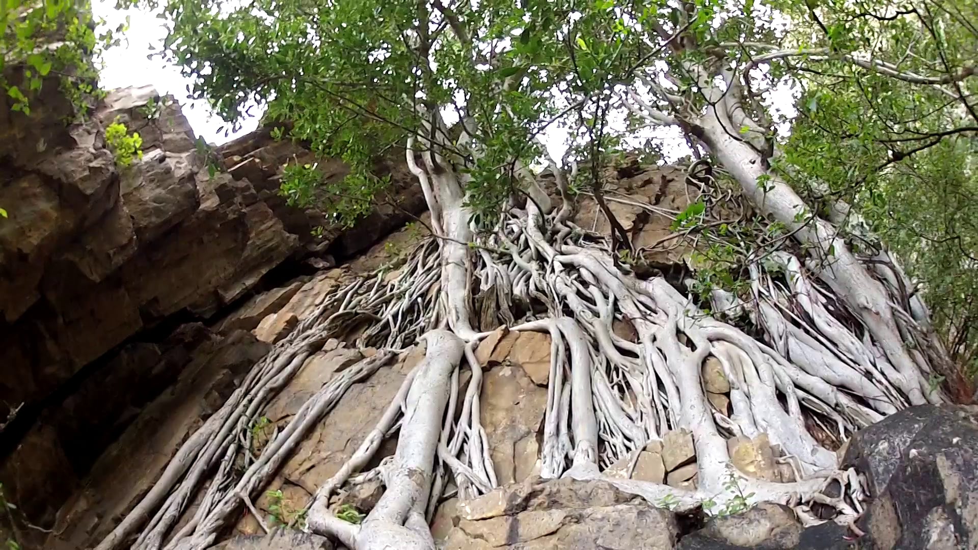 Zef Side - South African BASE Jumping on Vimeo