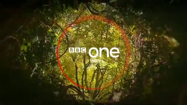 BBC One Wales Continuity | 11 June 2014 on Vimeo
