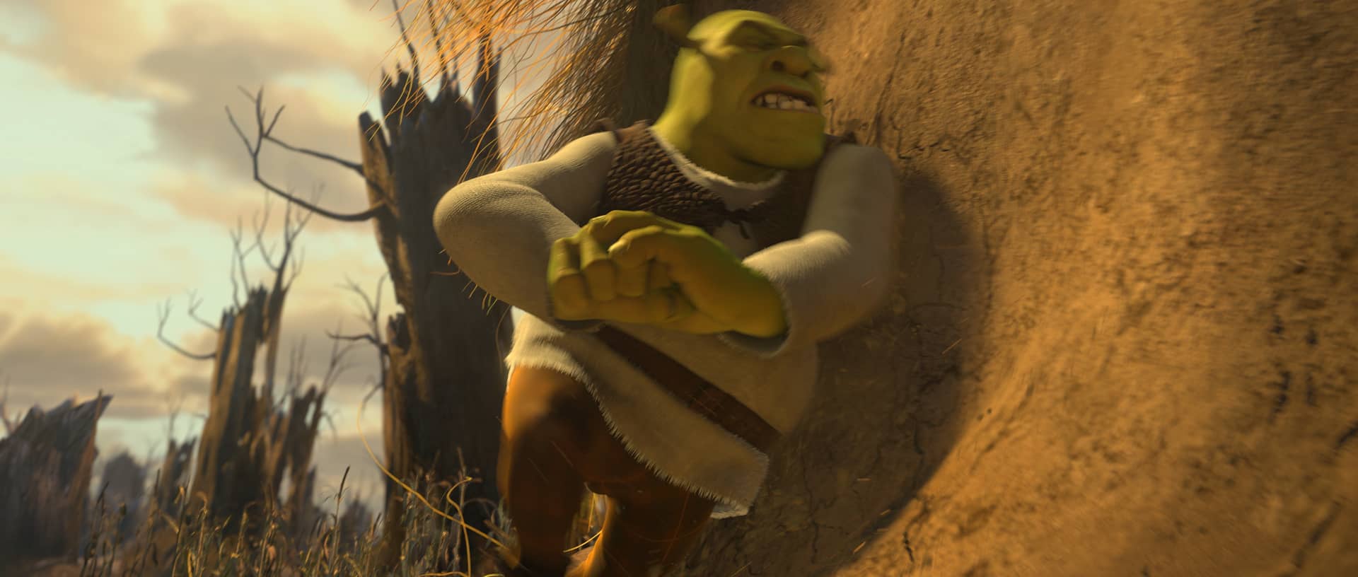 Shrek 4 : Wall Destruction on Vimeo
