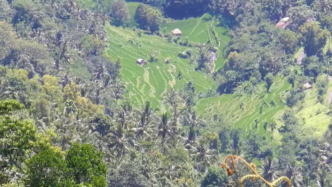 More than irrigation – The Balinese Subak system as a unique form of ...