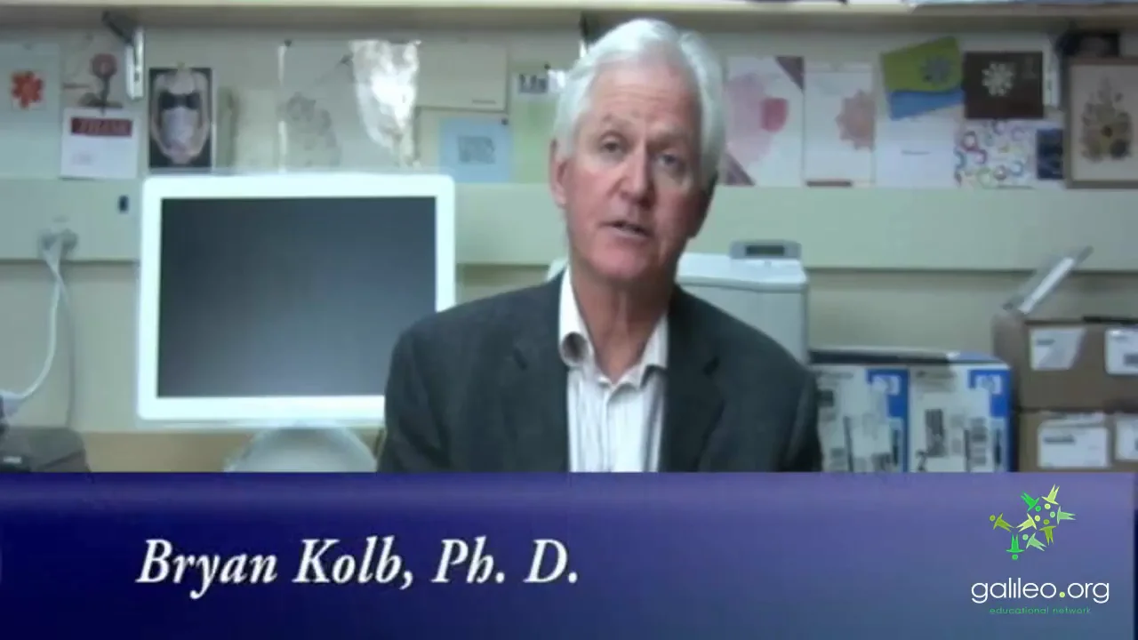 Dr. Bryan Kolb on the importance of play