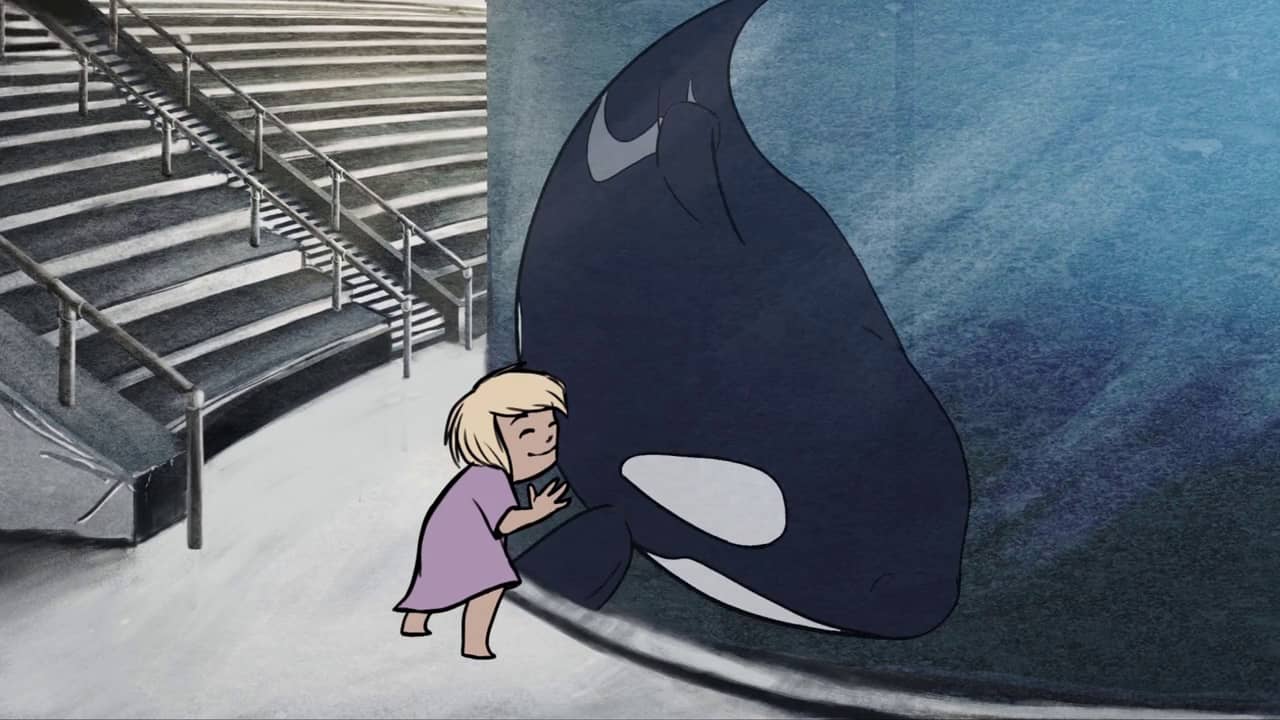 The Orca Awareness Project - In Progress on Vimeo