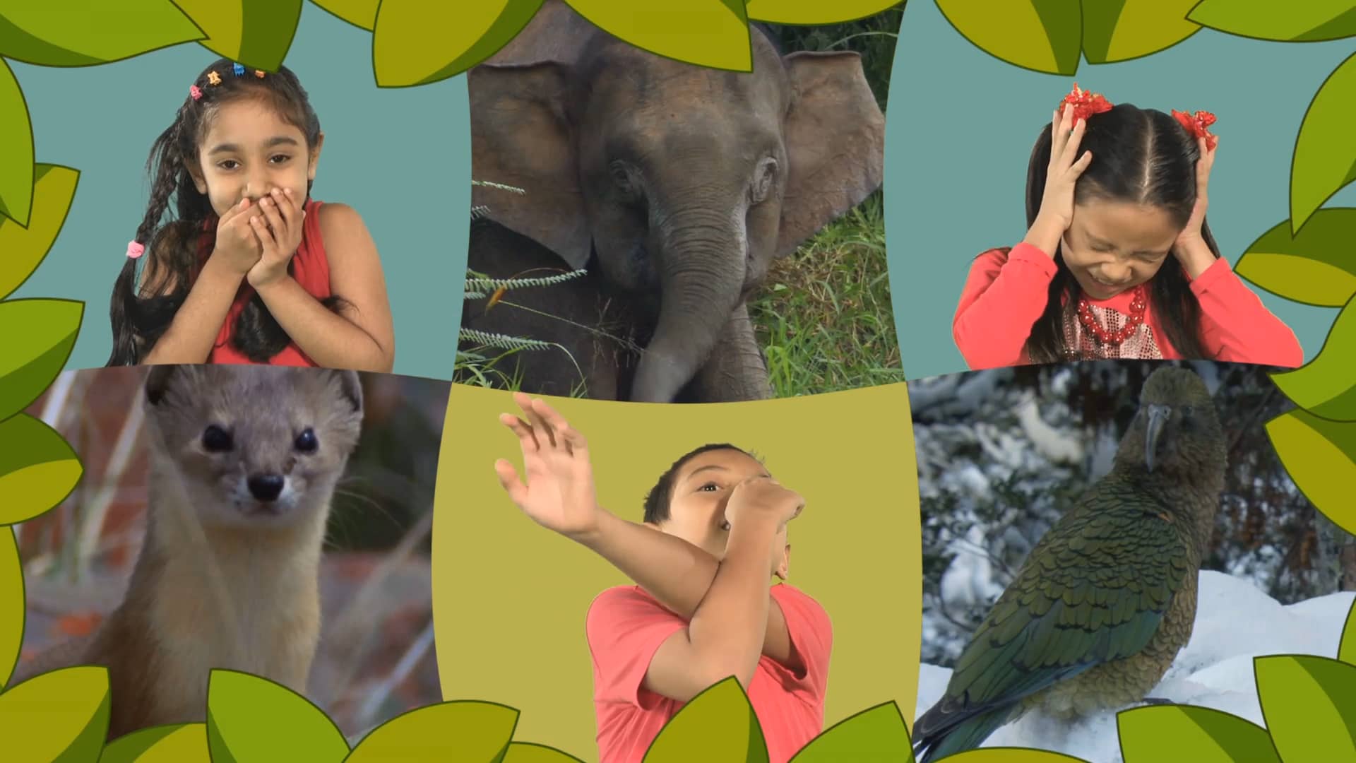 ZooMoo — Animal Noises on Vimeo